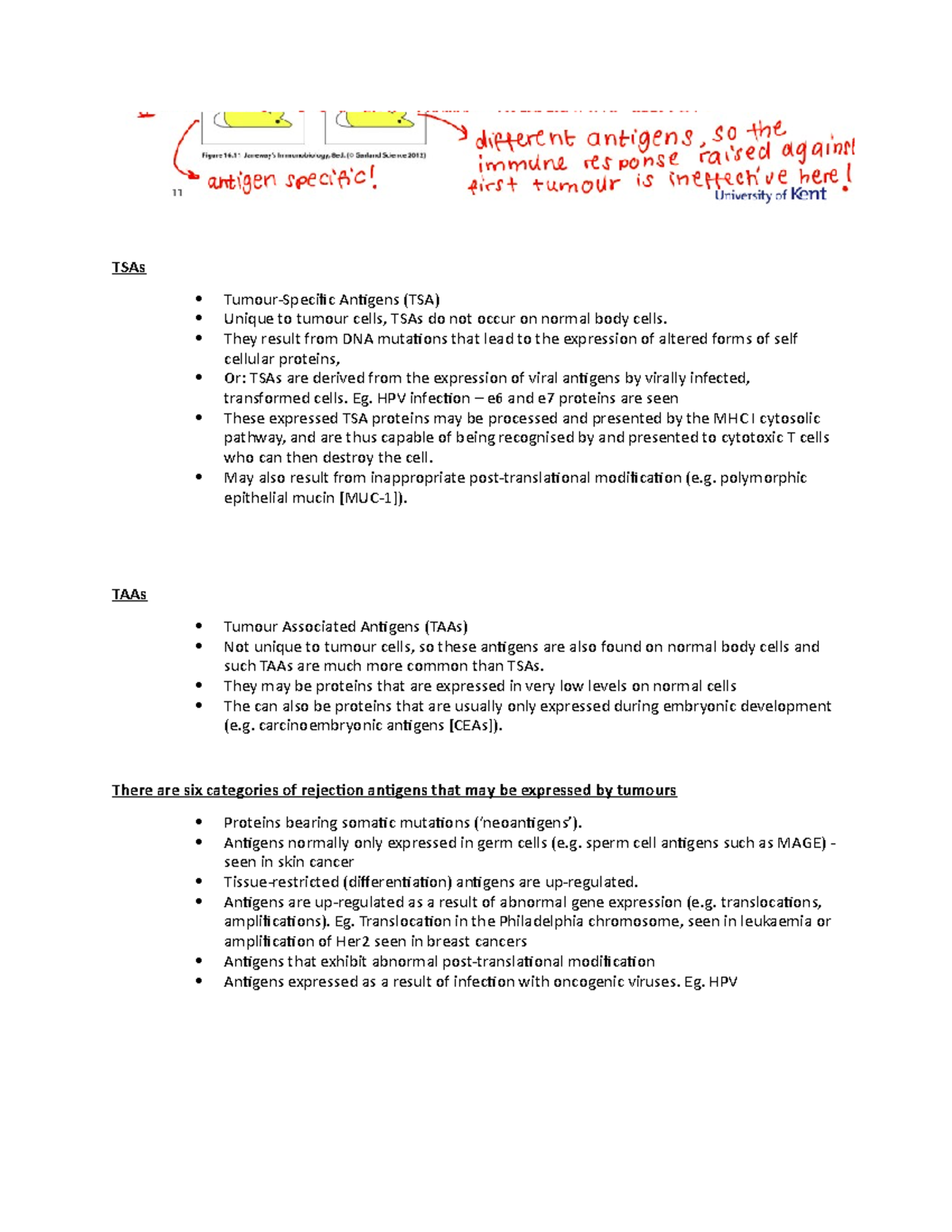 Tumour immunology Lecture 1 and 2 - TSAs Tumour-Specific Antigens (TSA ...