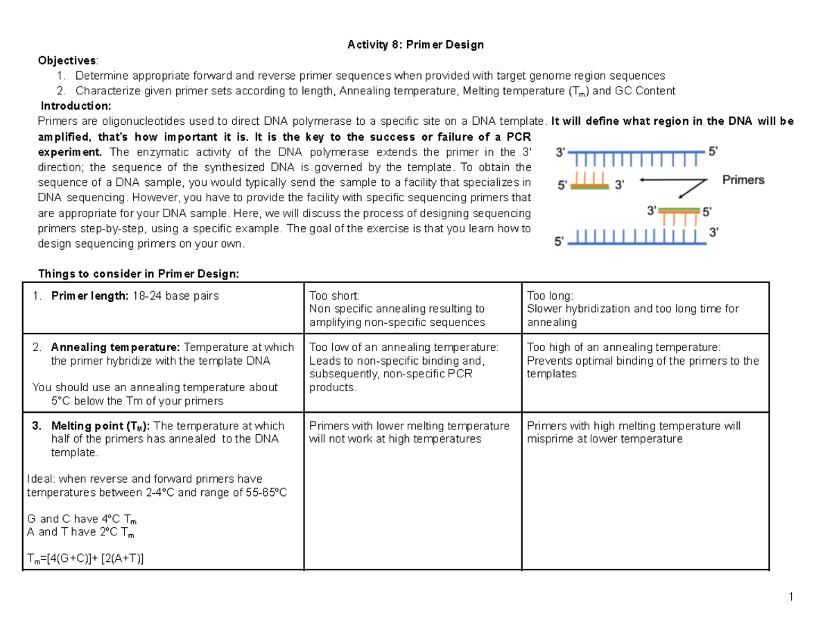 Activity 12 Primer Design - Activity 8: Primer Design Objectives ...