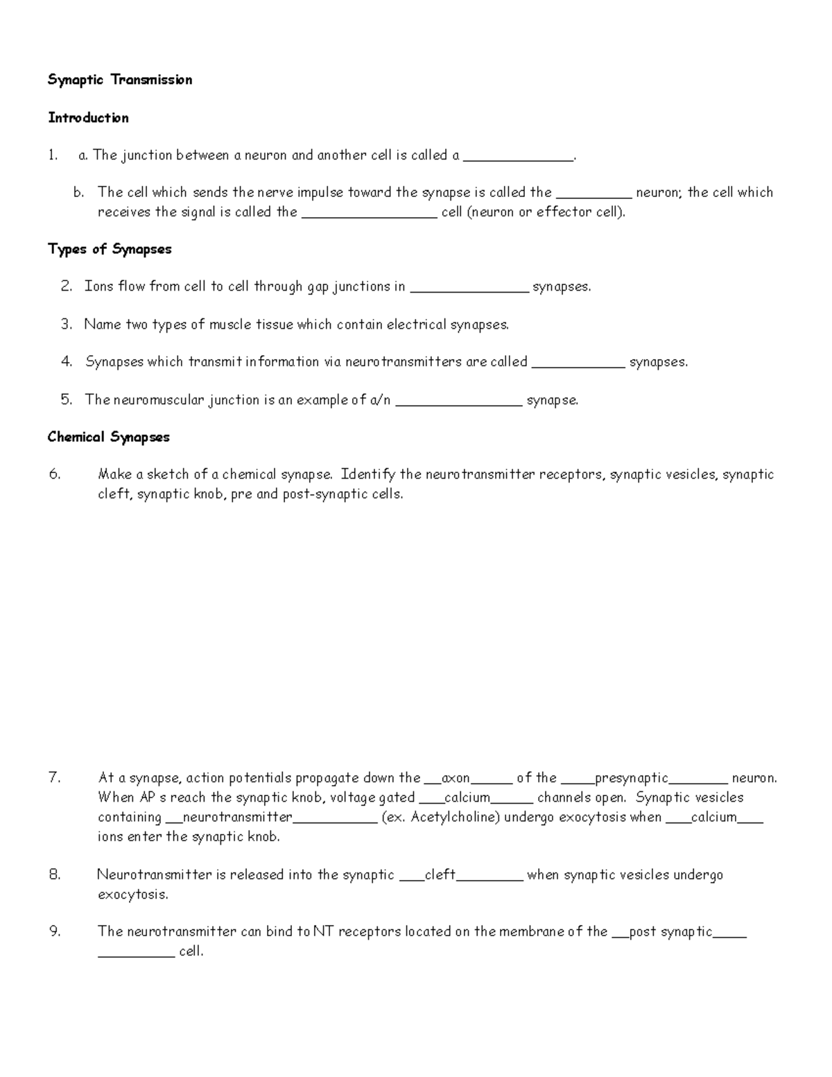 Ch 12 synaptic transmission worksheet f18 - Synaptic Transmission ...