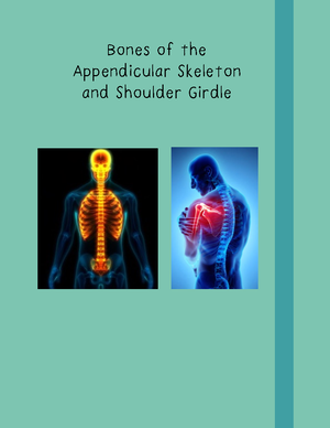 Lab 2 Outline - Appendicular Skeleton - KINE 2031 Human Anatomy Lab 2 ...