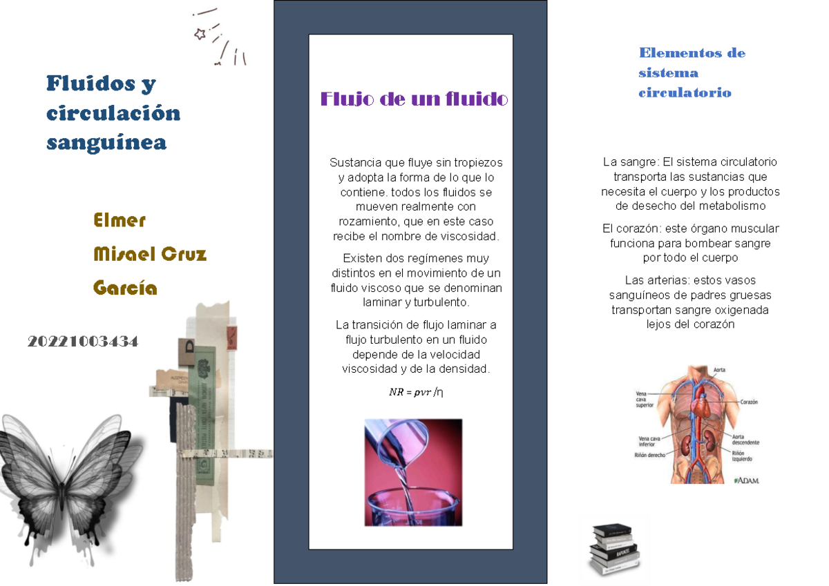 Trifolio - El Flujo de un fluido Sustancia que fluye sin tropiezos y ...