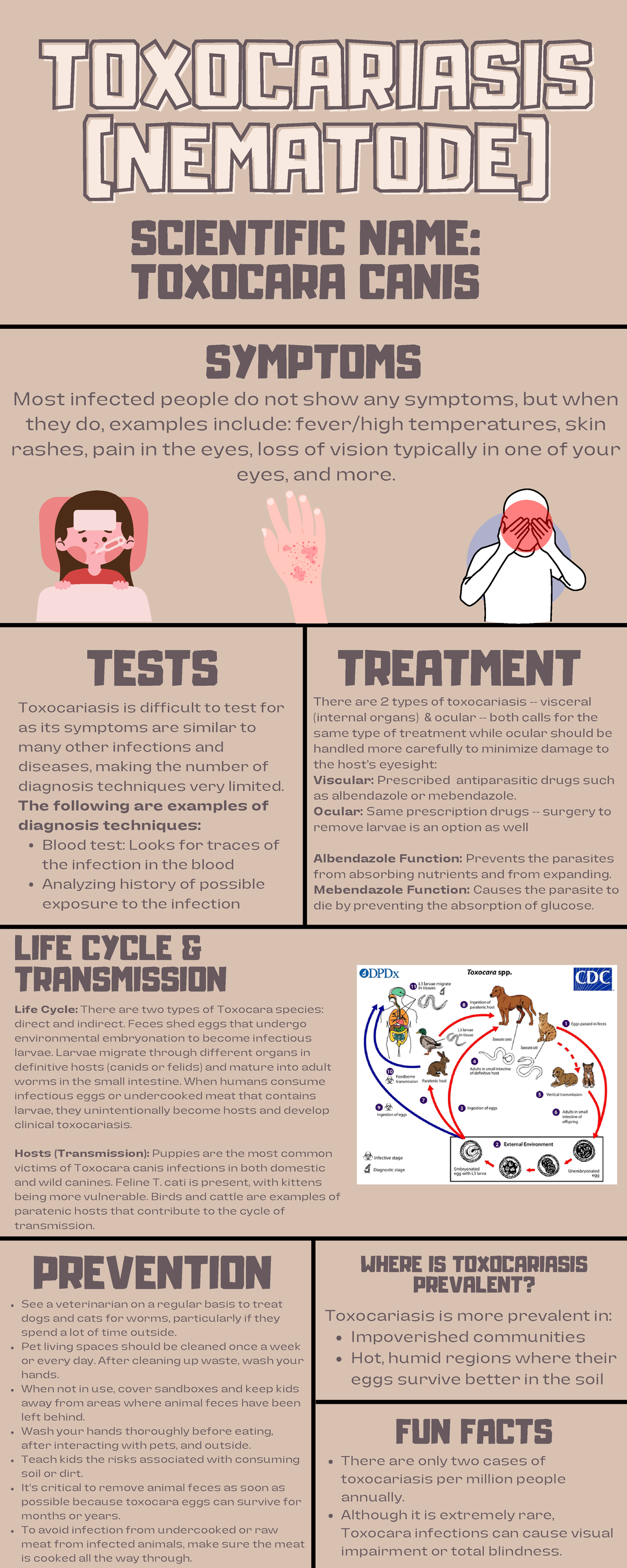 Toxocariasis PSA - ... - Toxocariasis is difficult to test for as its ...