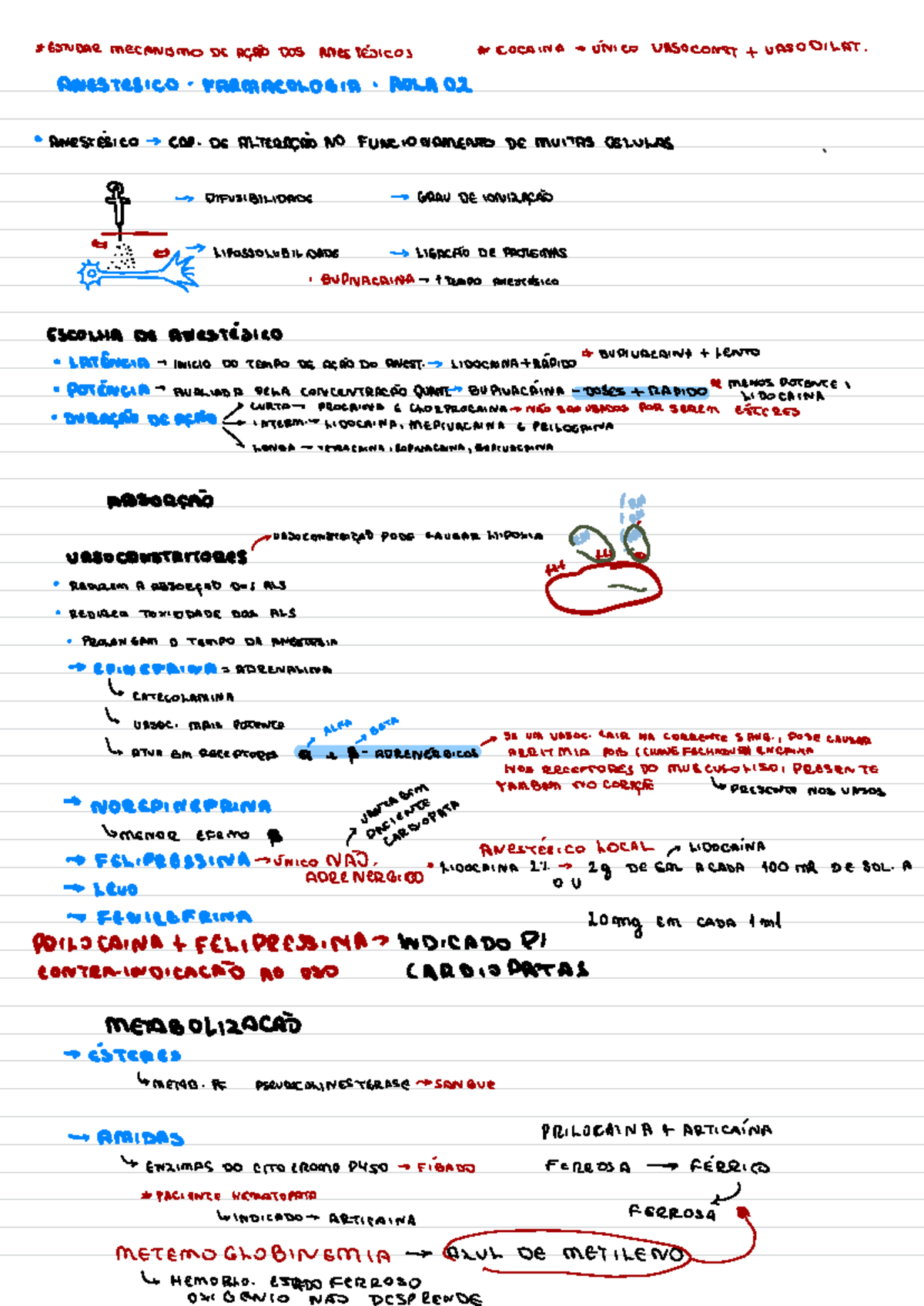 💉 2 - jeisi sksksj - * ESTUDAR MECANISMO DE AÇÃO DOS ANESTÉSICOS ...