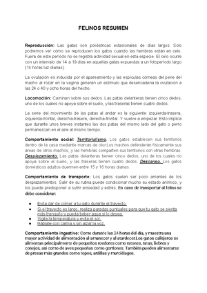 Actividad 2 - conocer la importancia de los órganos de los sentidos en ...