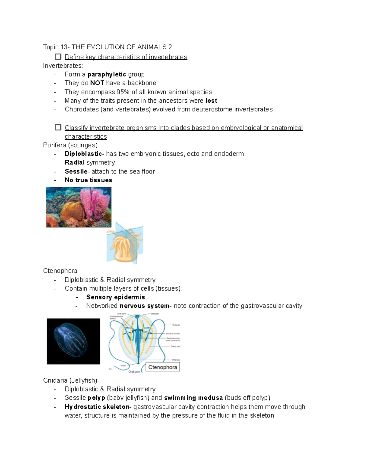 Last third of bio 1130 - bio notes - Topic 13- THE EVOLUTION OF ANIMALS ...