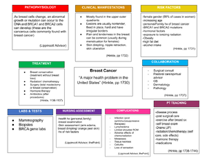 Concept Map Cystitis (UTI) - N3561 - Studocu