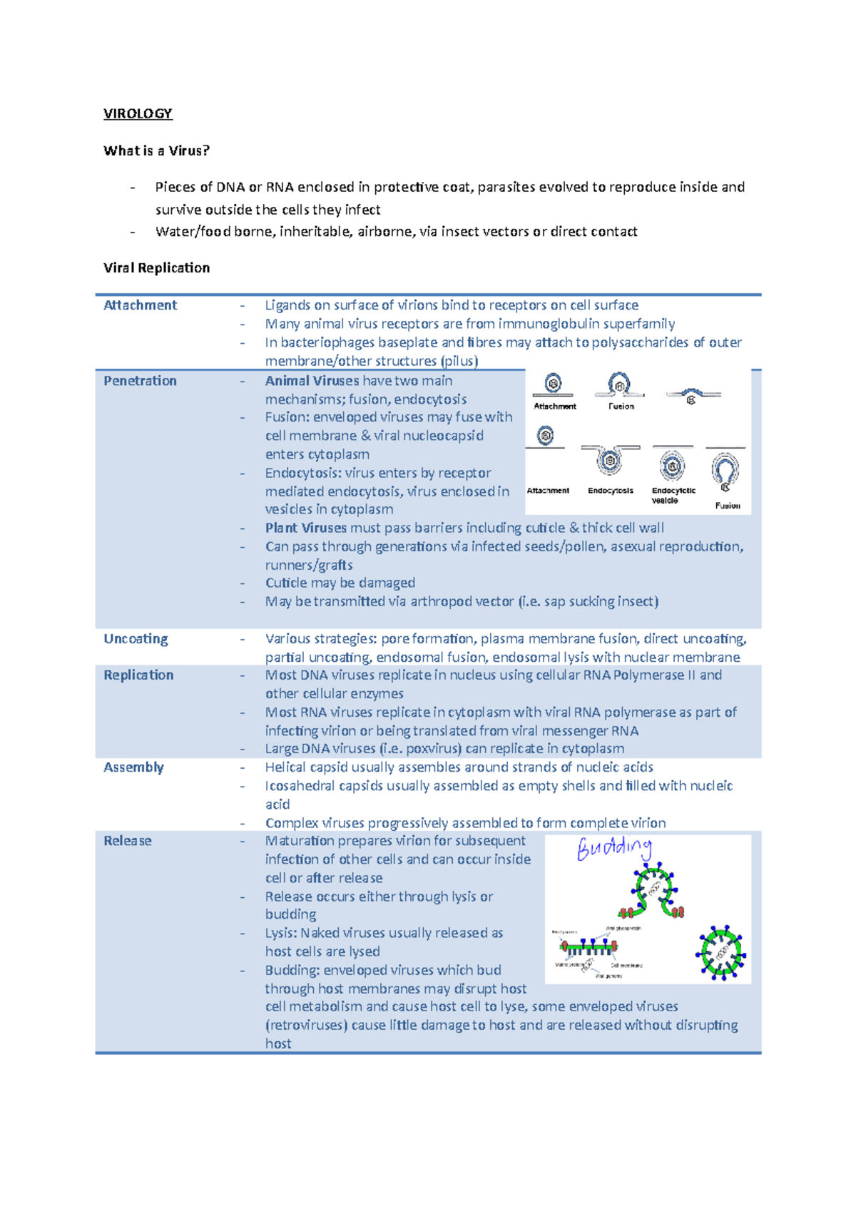 Summary - lecture - Summary of virology lectures - VIROLOGY What is a ...