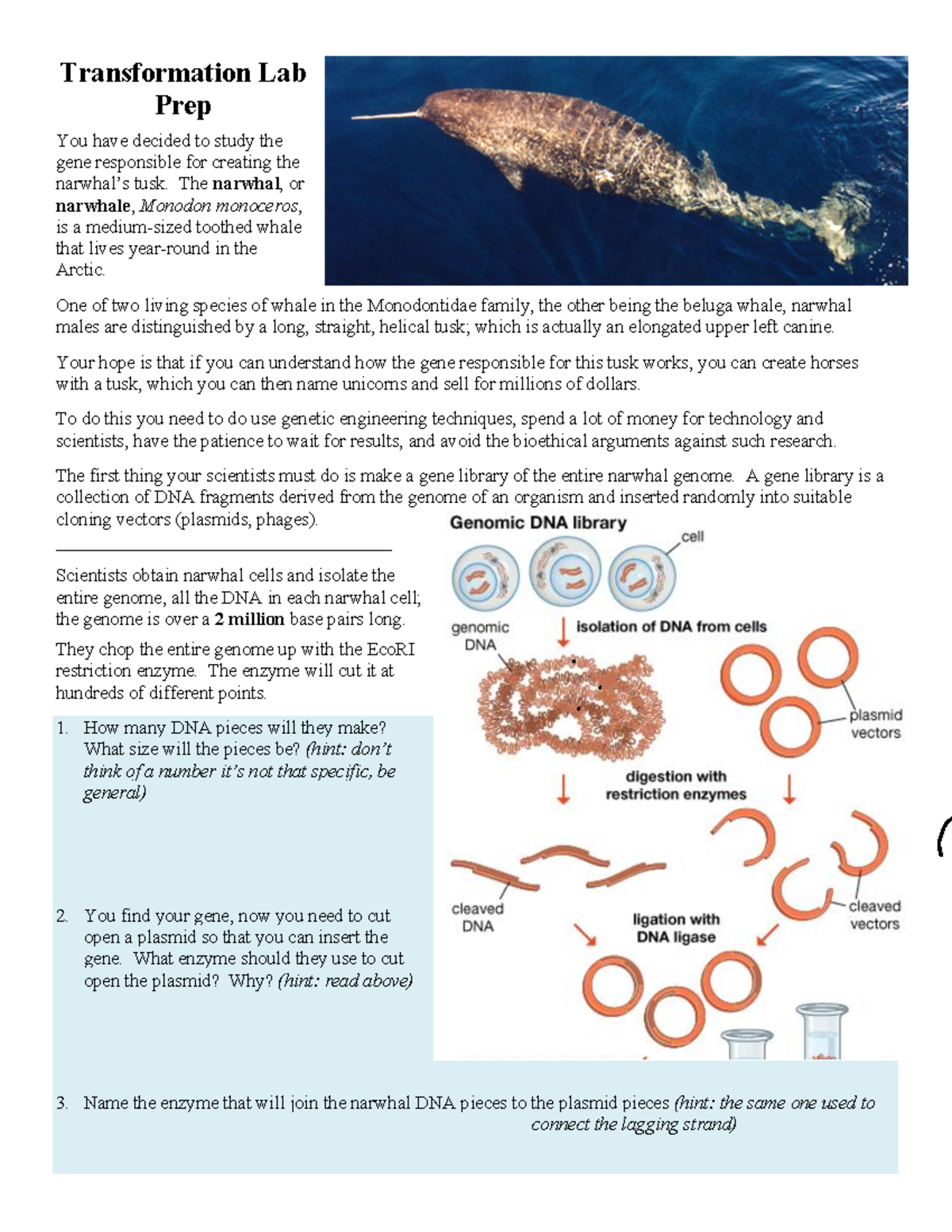 Transformation Lab - Reading Prep 20 - Transformation Lab Prep You have ...