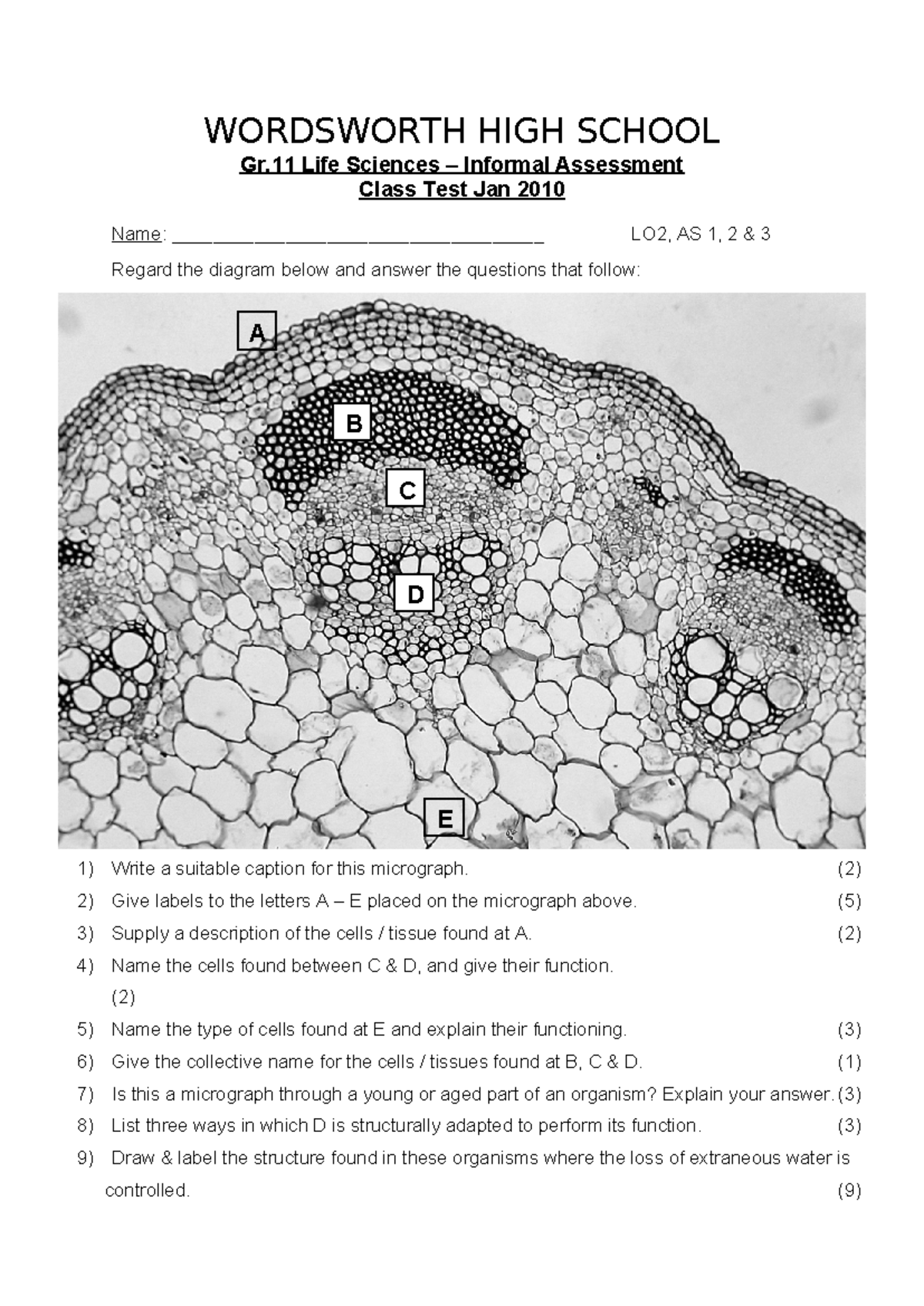 Class test 1 transport plant - WORDSWORTH HIGH SCHOOL Gr Life Sciences ...