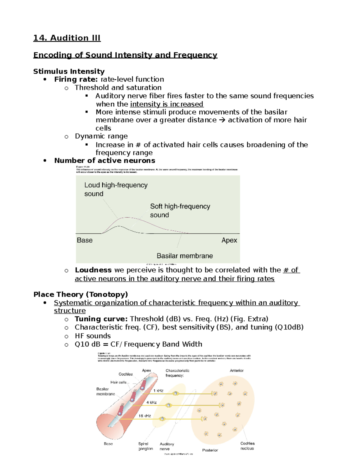 Chapter 14 - Audition III - 14. Audition III Encoding of Sound ...