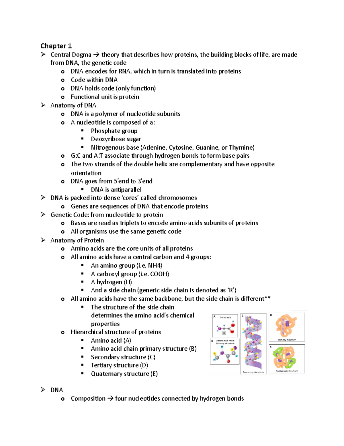 Study Guide for Exam One - Chapter 1 Central Dogma theory that ...