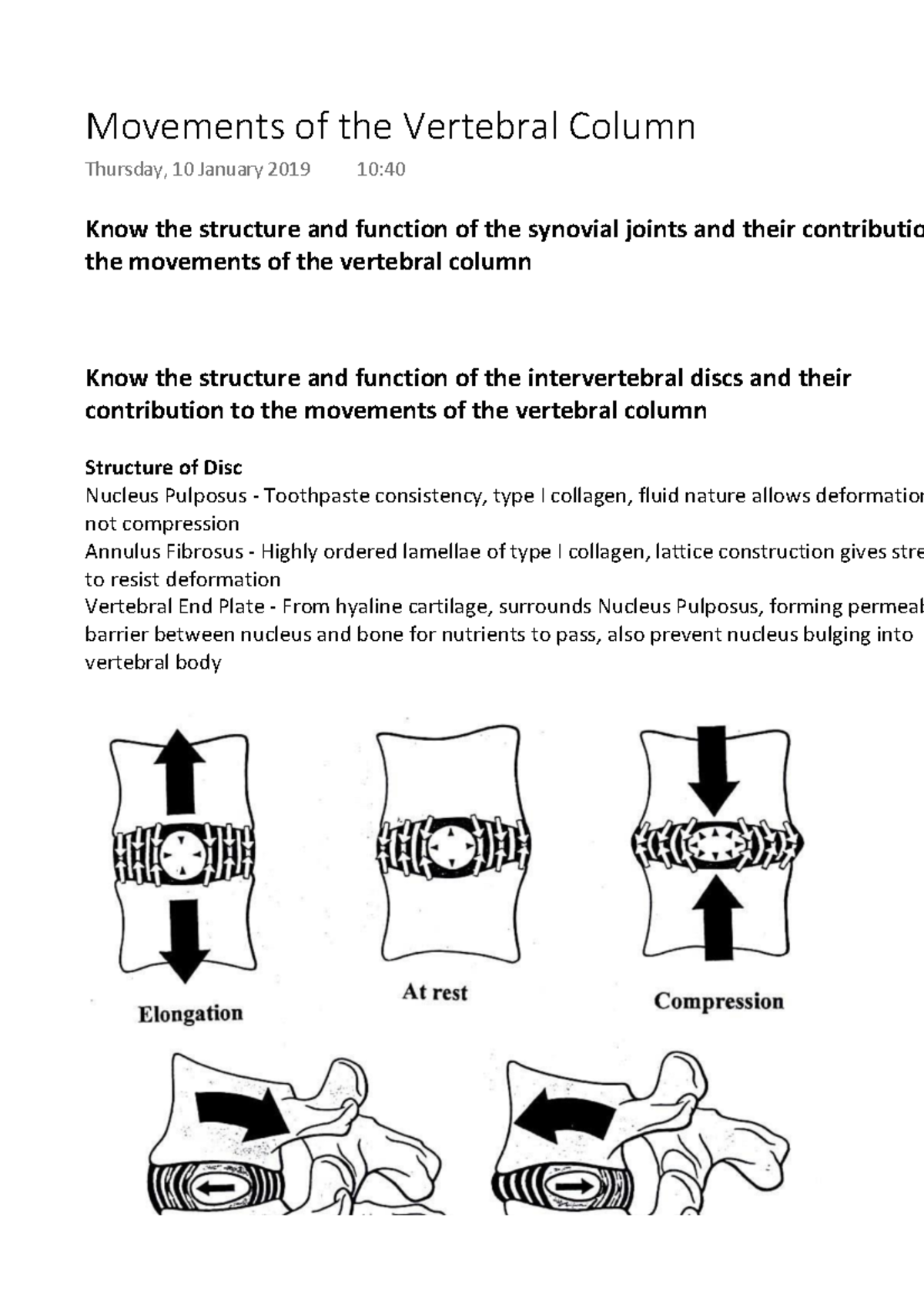 Movements of the Vertebral Column - Know the structure and function of ...