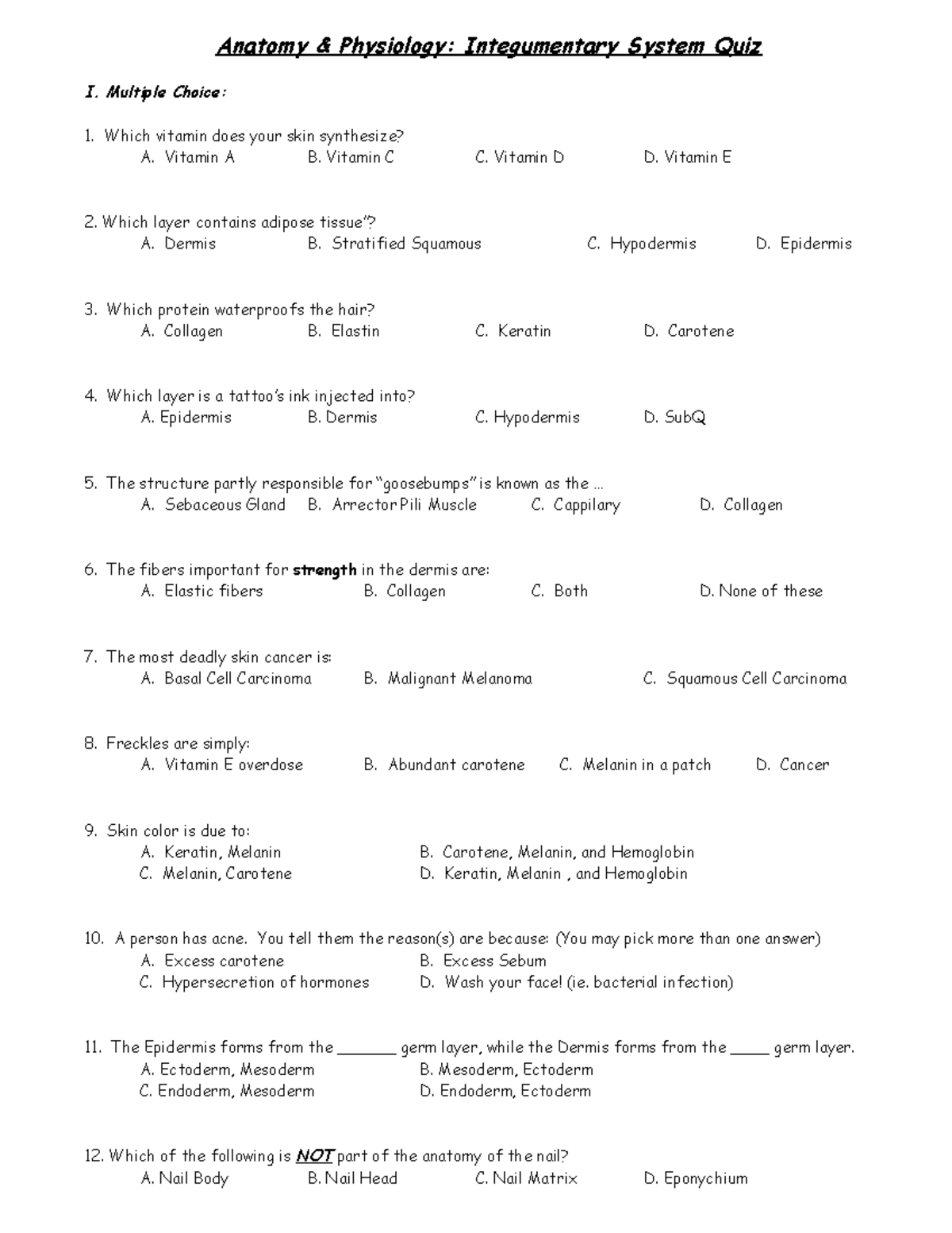 Q4-integ - integumentary system - Anatomy & Physiology: Integumentary ...