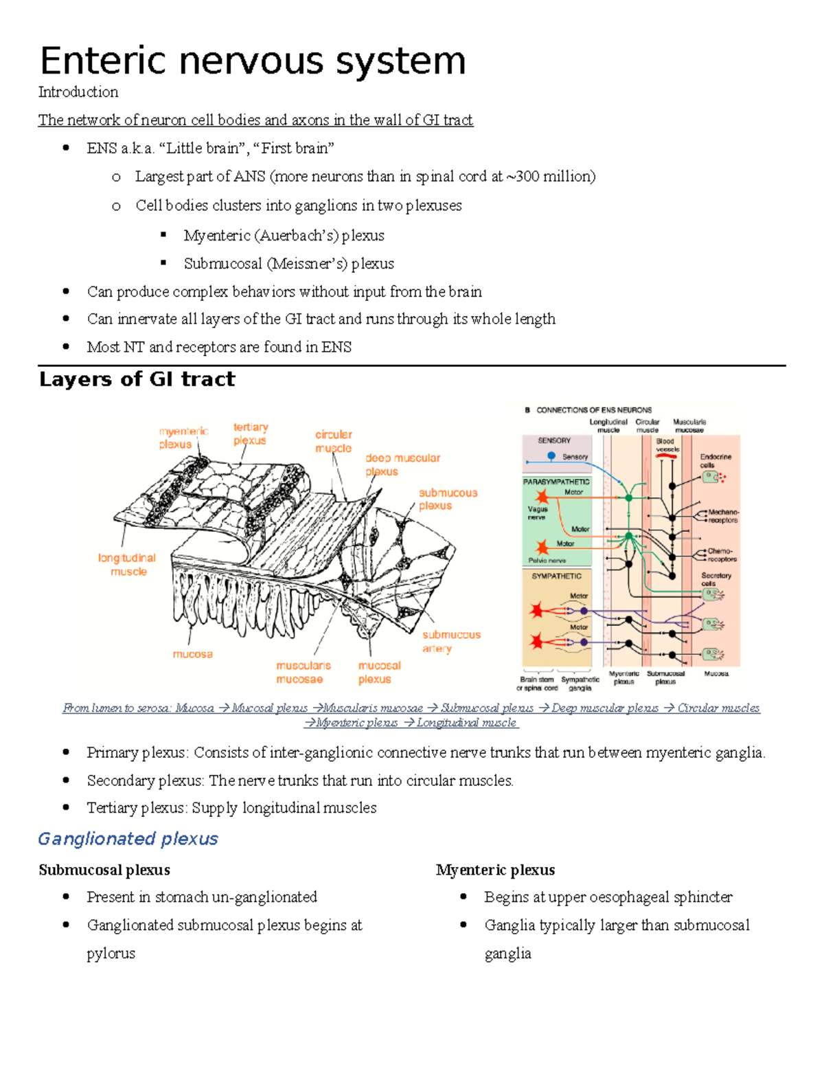 2. Enteric nervous system - Enteric nervous system Introduction The ...