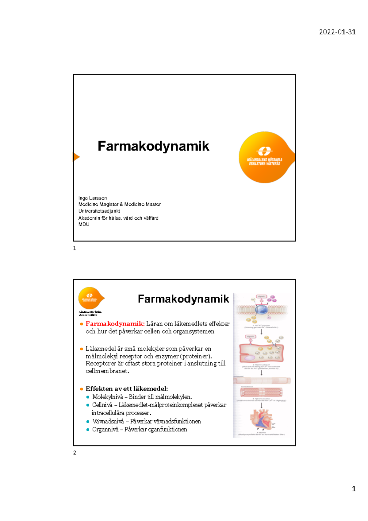 Farmakodynamik föreläsning 2022 - Farmakodynamik Inge Larsson Medicine Magister & Medicine - Studocu