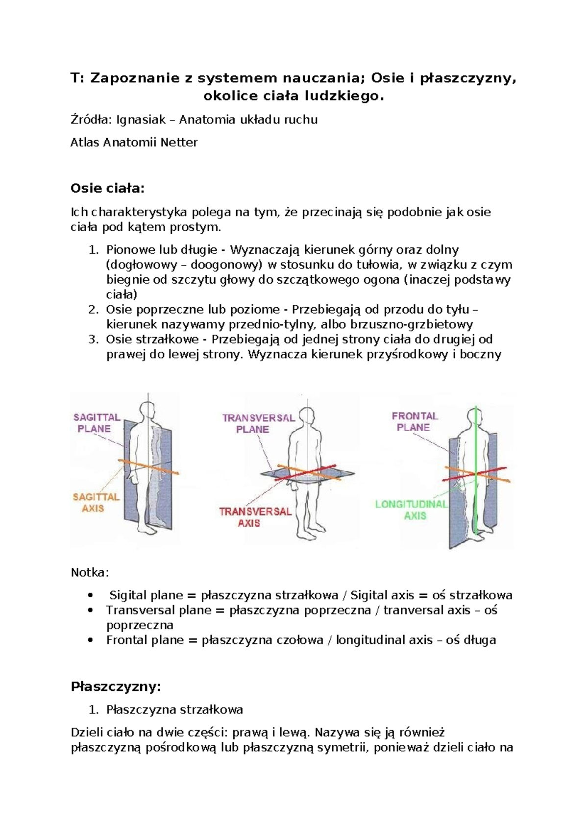 Osie, płaszczyzny i okolice ciała ludzkiego - Źródła: Ignasiak ...