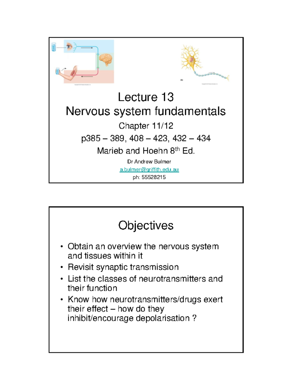 Lecture 13 Nervous System Introduction 2015 For Students - Lecture 13 ...