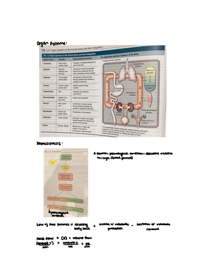 Physio Exam #1 Study Guide - Introduction/Homeostasis Define and ...