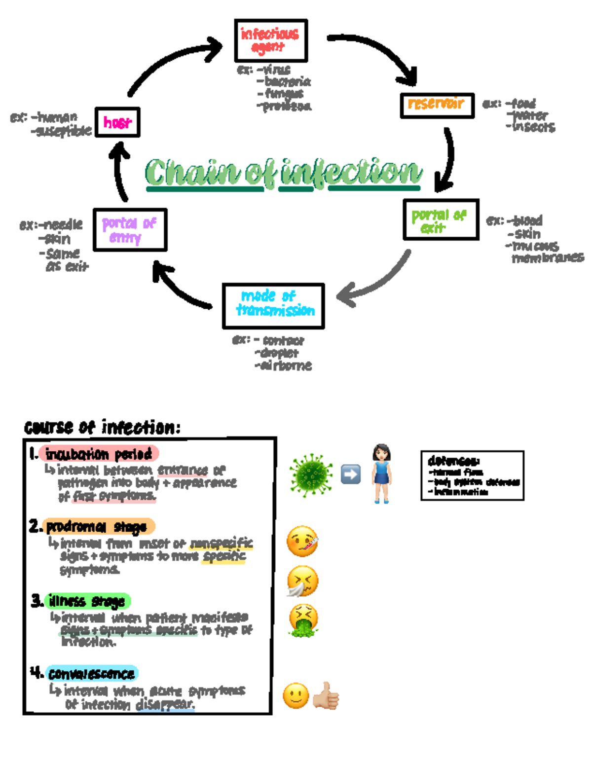 Chain of Infection - NUR 215 - Studocu