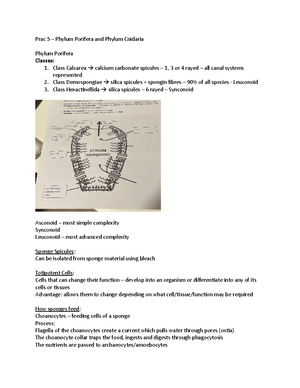 Prac 10 - Echinoderms & Chordates (students) 2016 - Practical 9 ...