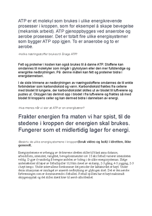 Anatomisk forklaring av treningsøvelser - Arbeidskrav anatomi (styrke ...