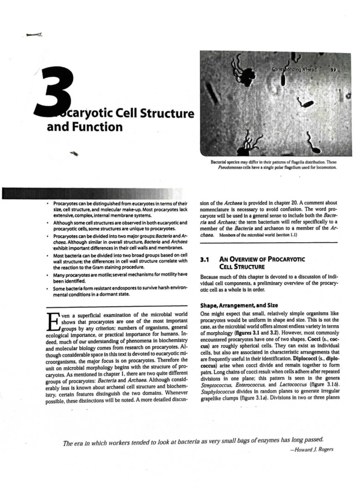 Procaryotic cell structure and function - General Microbiology - Studocu