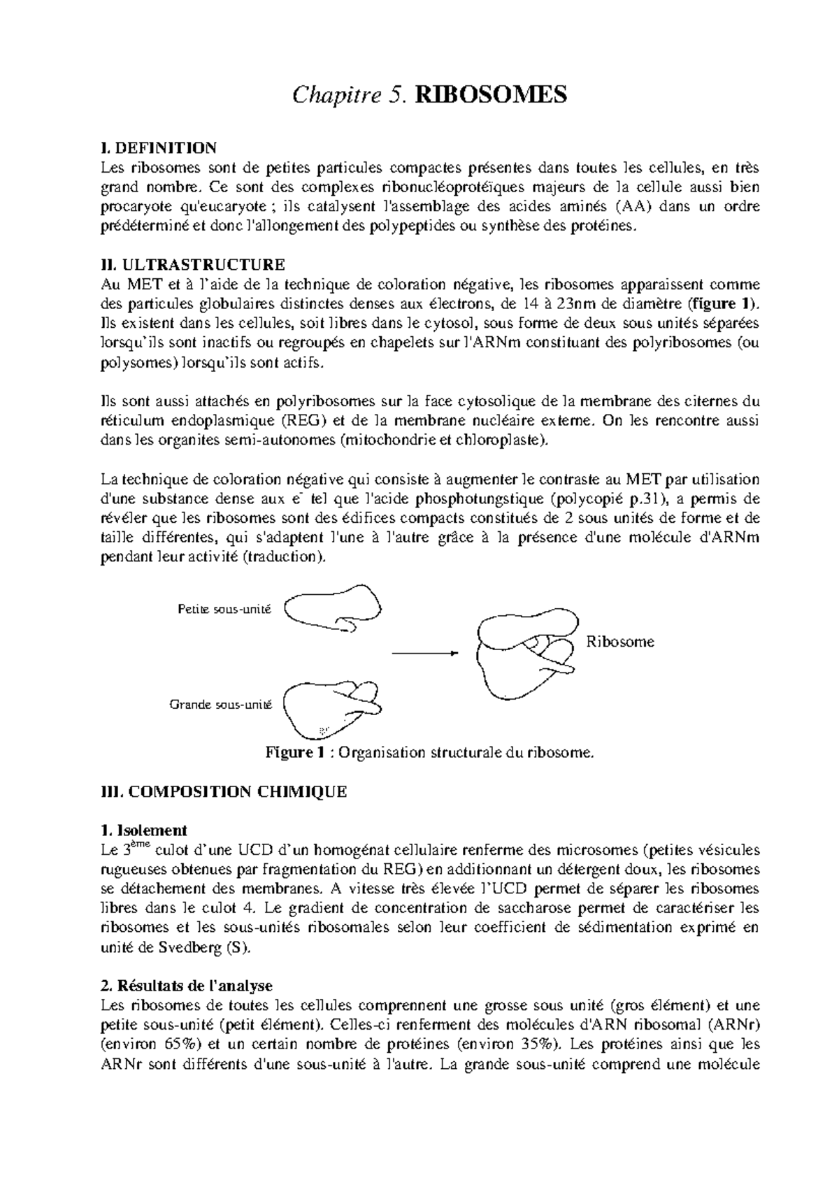 Chapitre 5 ribosomes - C I. DEFINITION Les ribosomes sont de petites ...