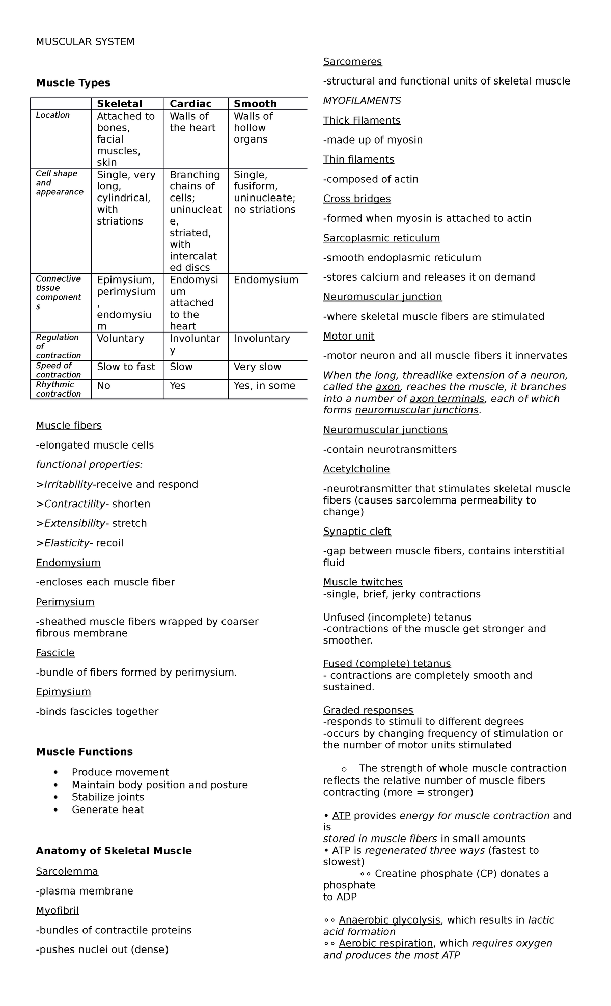 Muscular System ap notes - MUSCULAR SYSTEM Muscle Types Skeletal ...