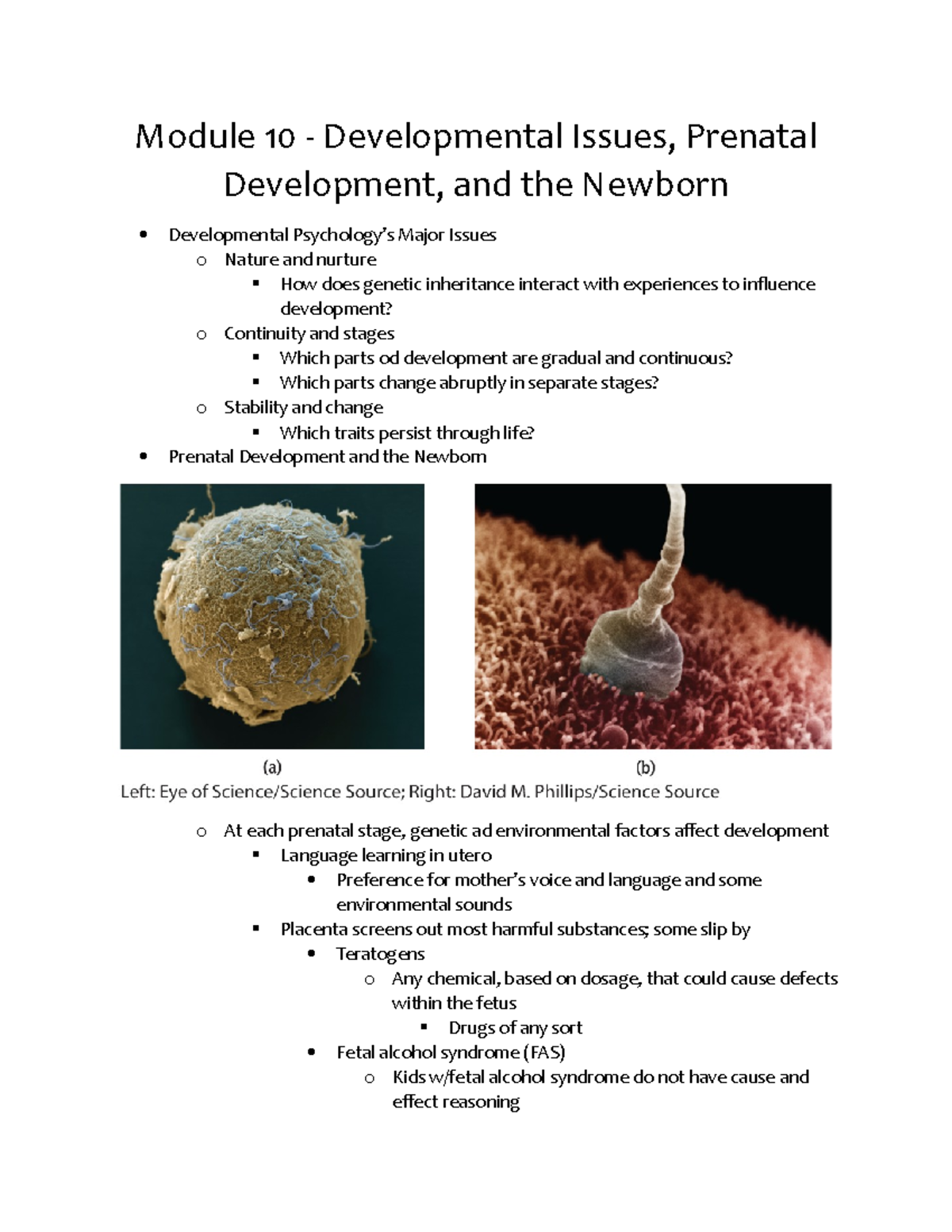 General Psychology 2 - Module 10 Notes - Module 10 - Developmental ...