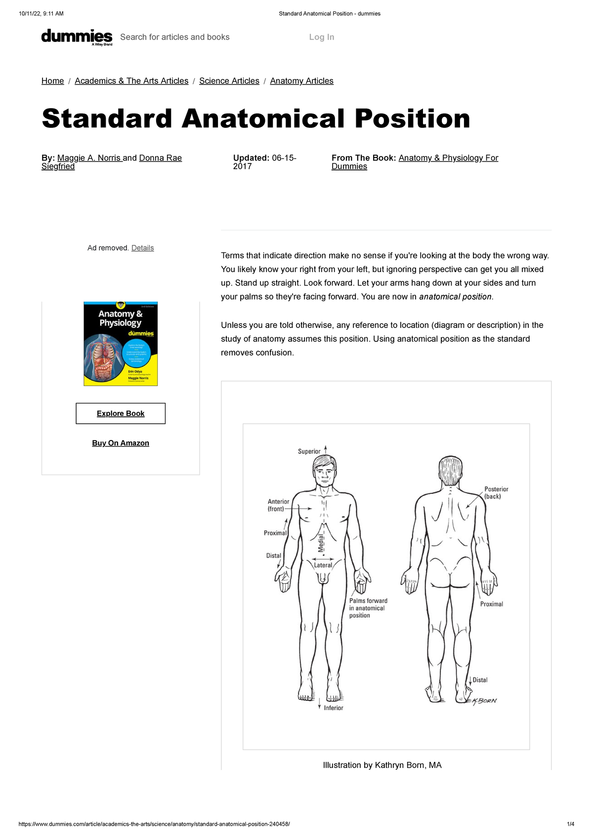 Standard Anatomical Position - dummies - Terms that indicate direction ...