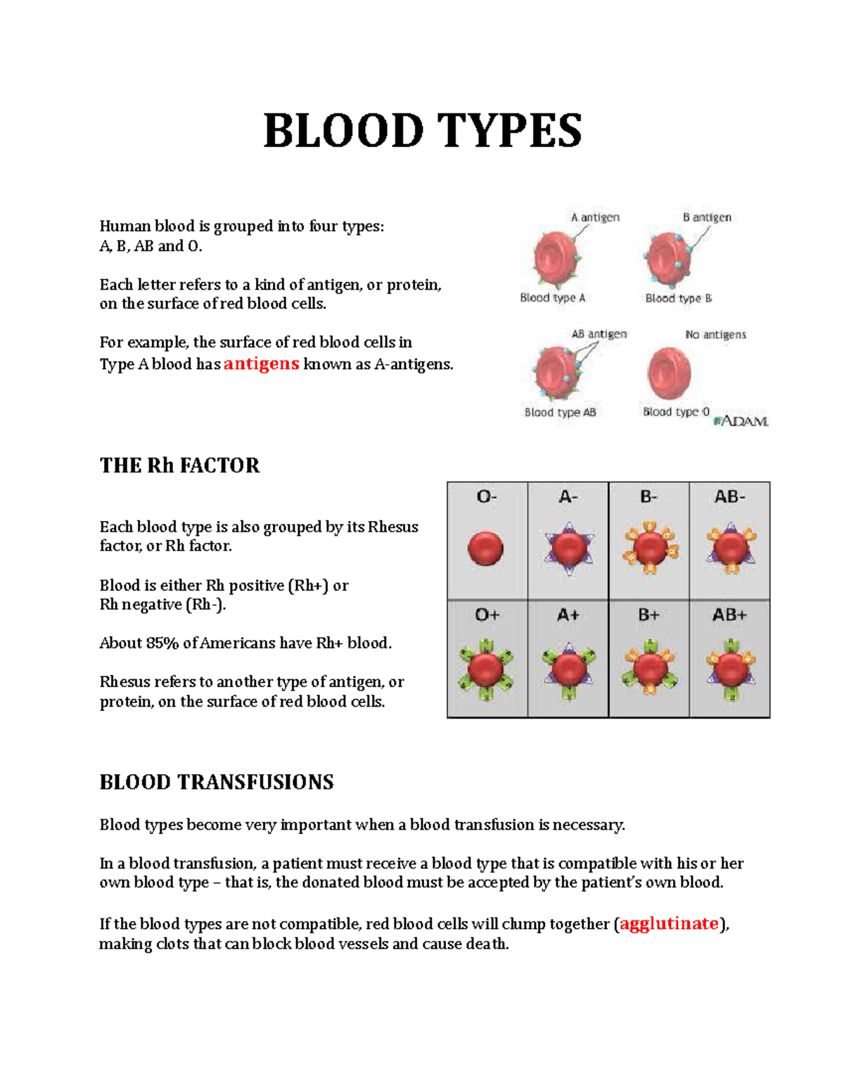 Blood Types - circulatory system notes - BLOOD TYPES Human blood is ...
