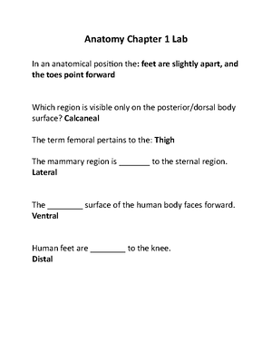 Human Anatomy Lab Chap 1 - Human Anatomy Lab Simple Squamous Epithelium ...