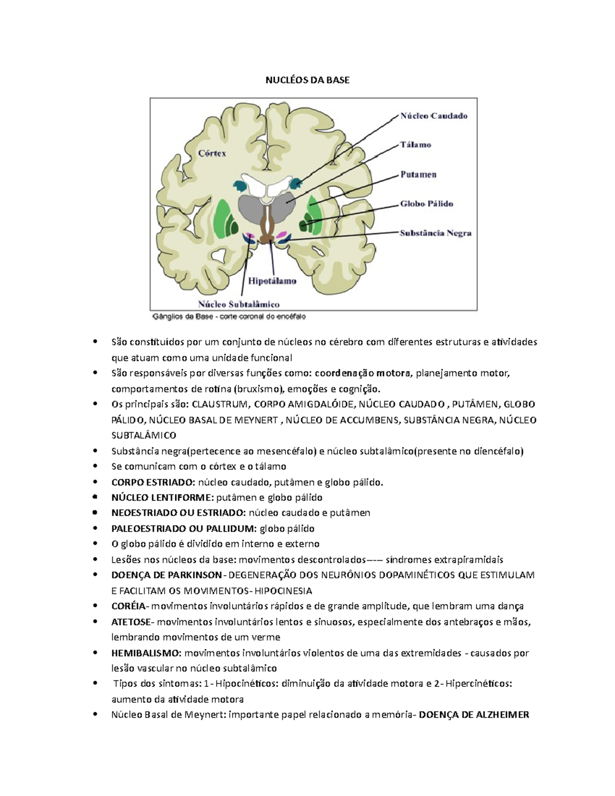 Nucléos DA BASE - NUCLÉOS DA BASE São constituídos por um conjunto de ...