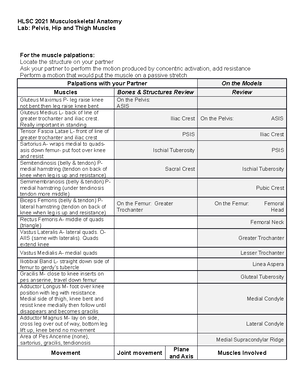B MSA lab knee and ankle osteology - Lab: Knee and Ankle Osteology ...