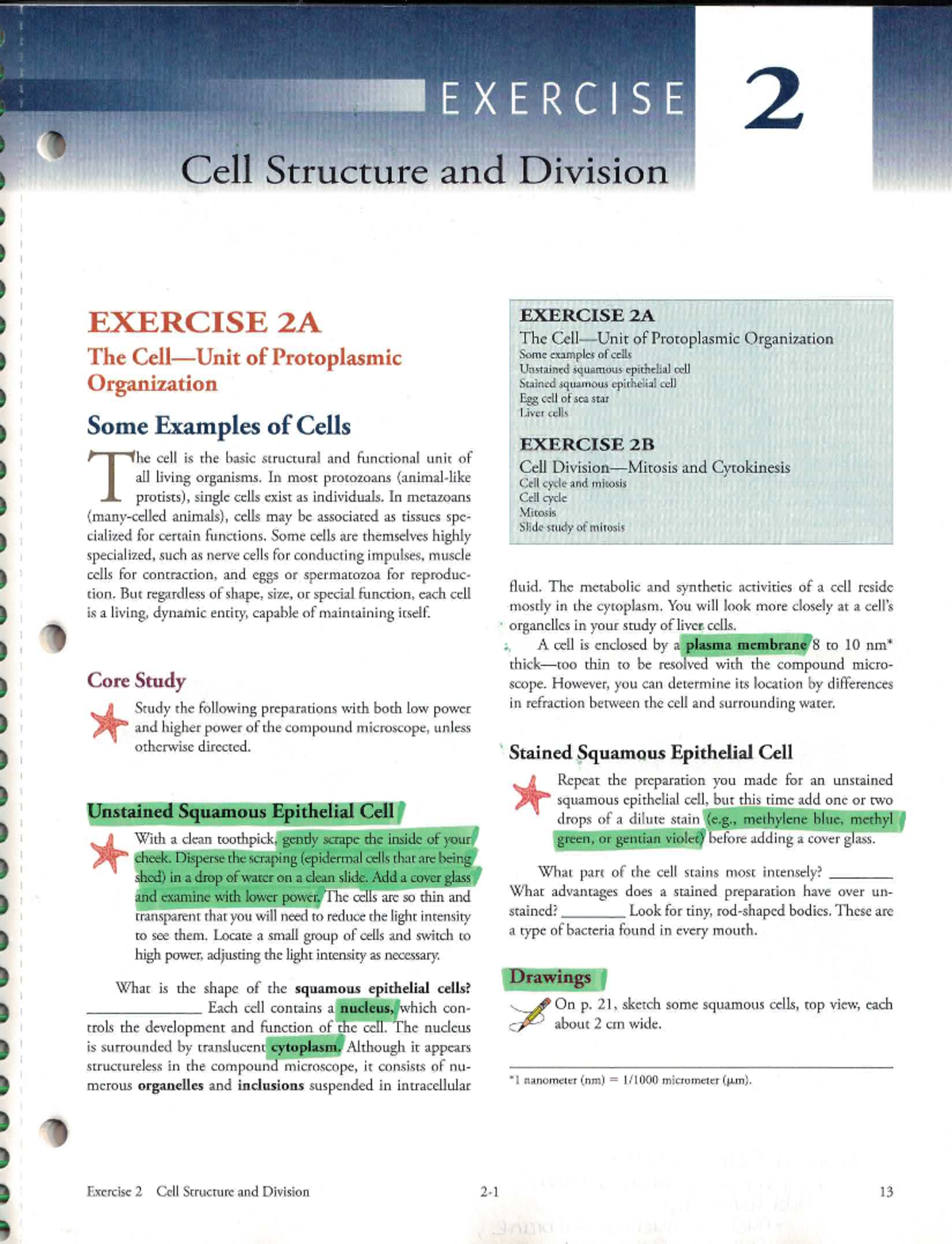 3321-Cell Lab-Student copy BB - BIOL 370 - Studocu