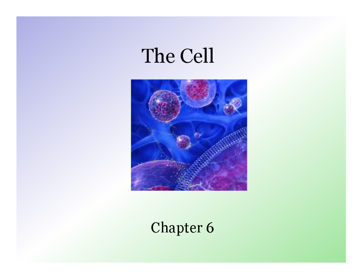 AP Cell Structure - .we8gfyihcqavulh - The Cell Chapter 6 The Cell Theory All organisms are made ...