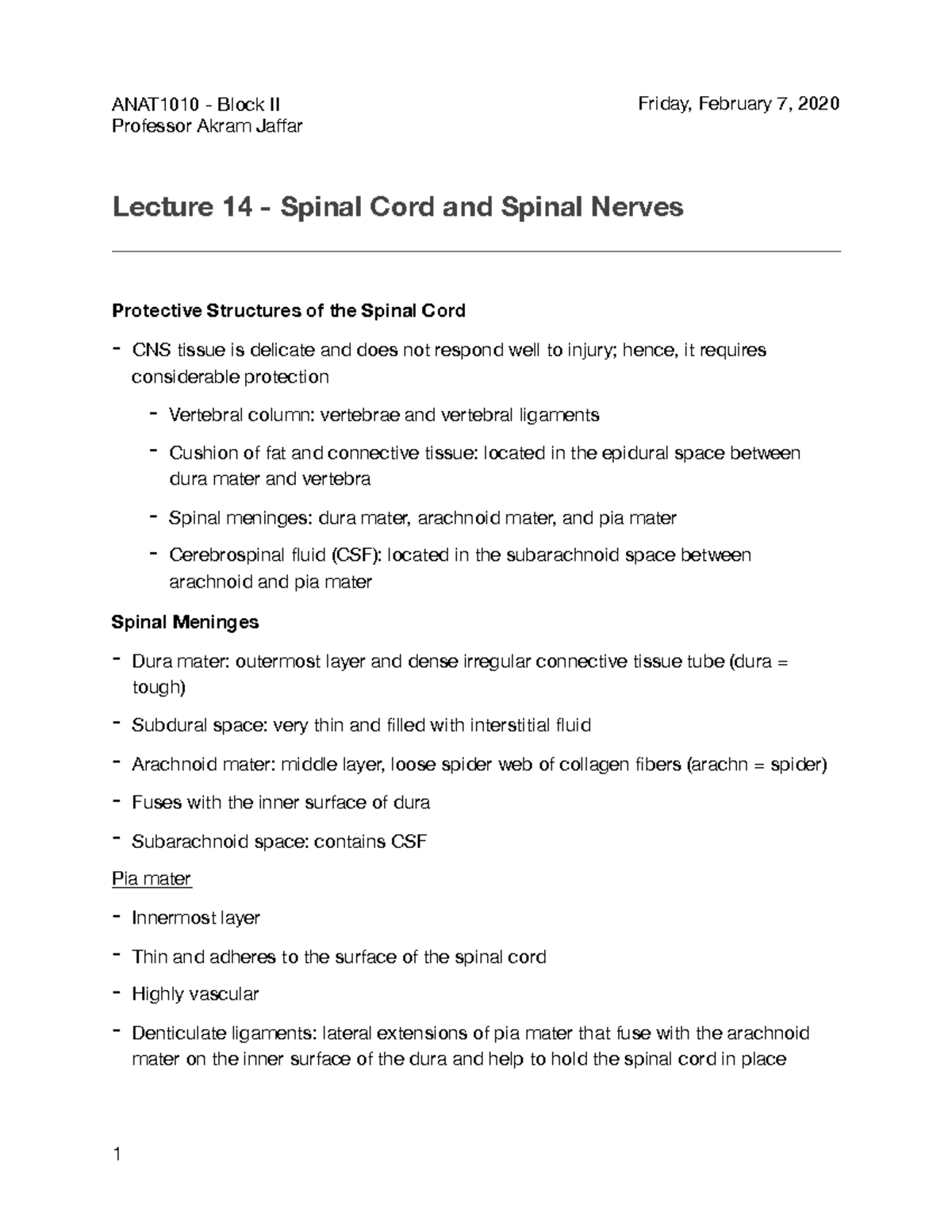 Lecture 14 - Spinal Cord and Spinal Nerves - Professor Akram Jaffar ...