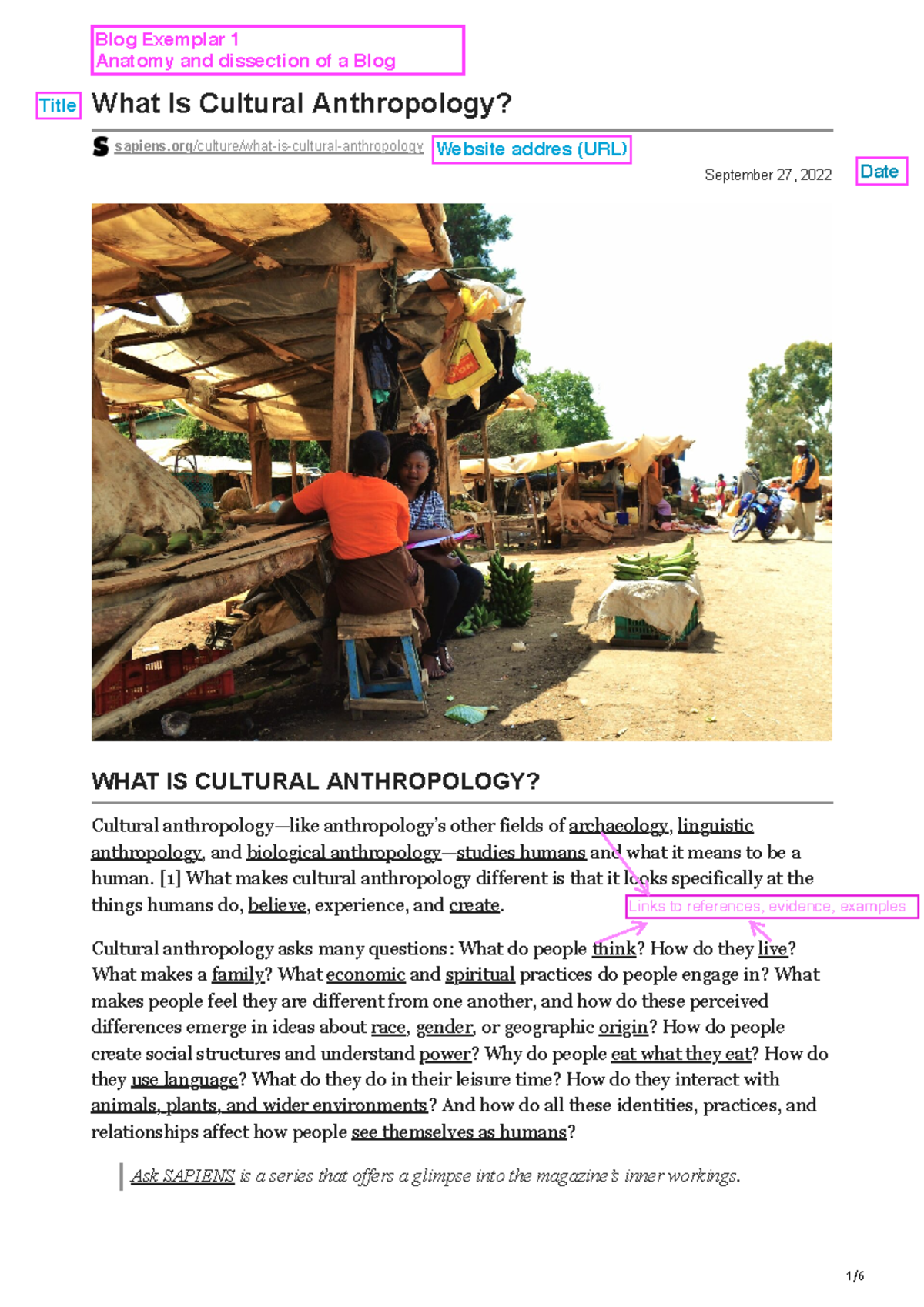 Blog exemplar 1 - example of a blog - September 27, 2022 What Is ...