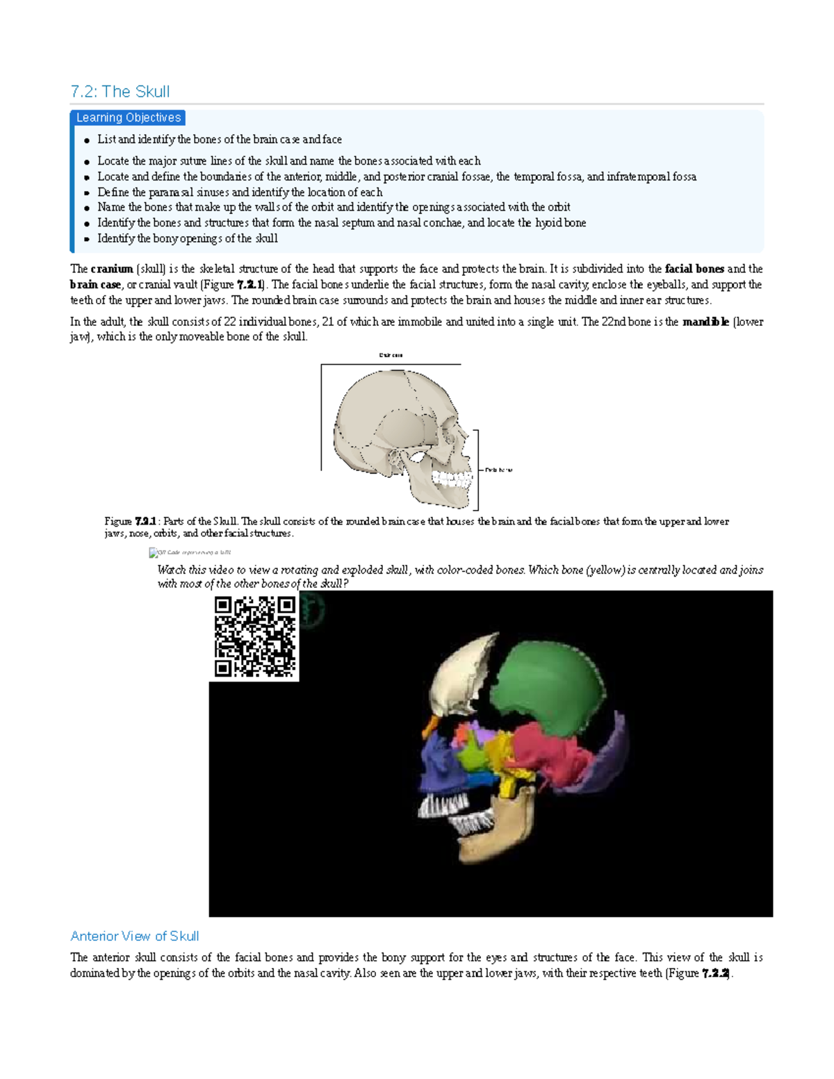 7.2 The Skull - Instructional Module - 7: The Skull List and identify ...