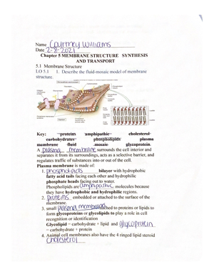 Bone Connective Tissue, Cells, Matrix - Microscopic Anatomy: Bone ...