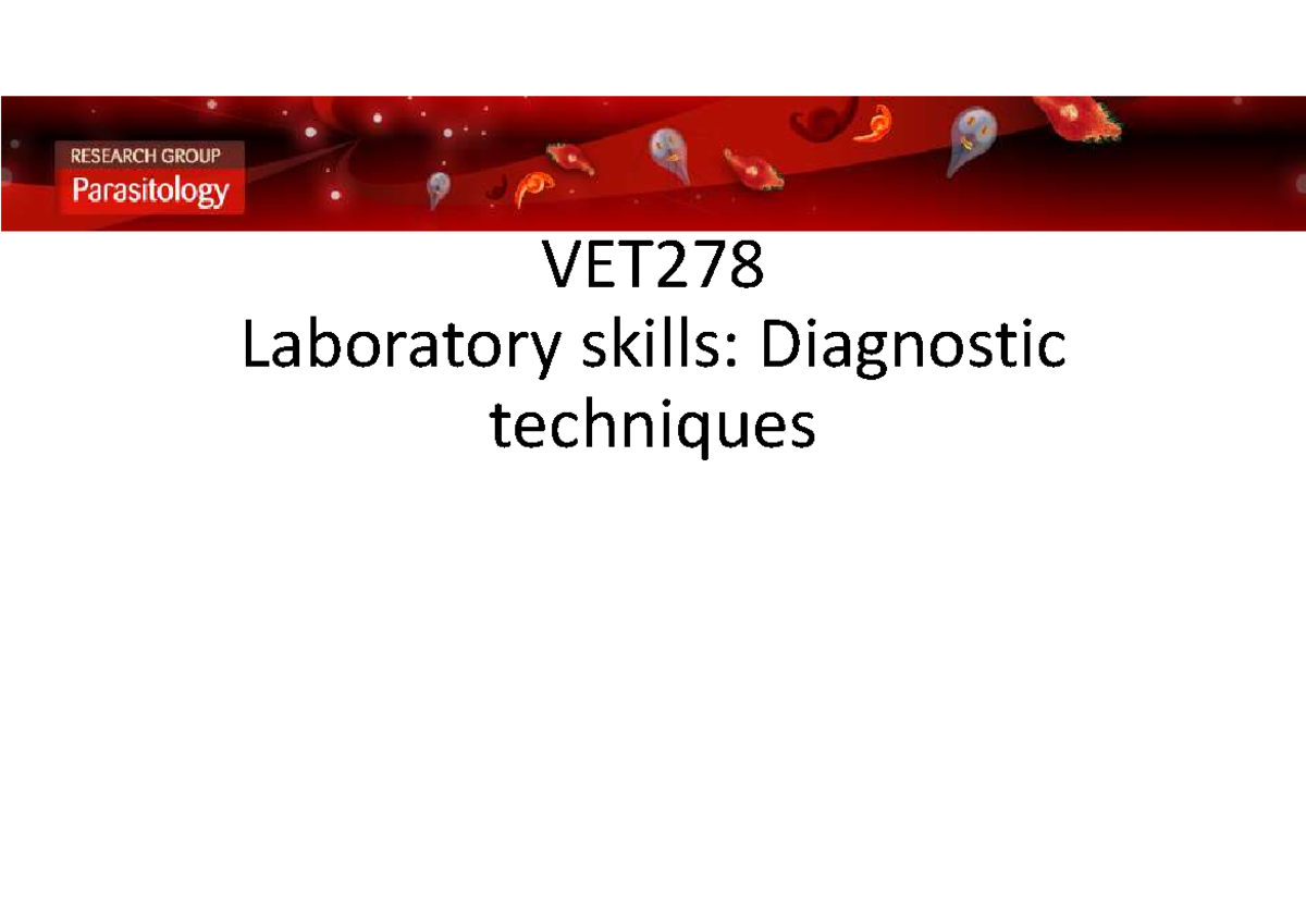 Practical 2 Extra notes and questions - VET Laboratory skills ...