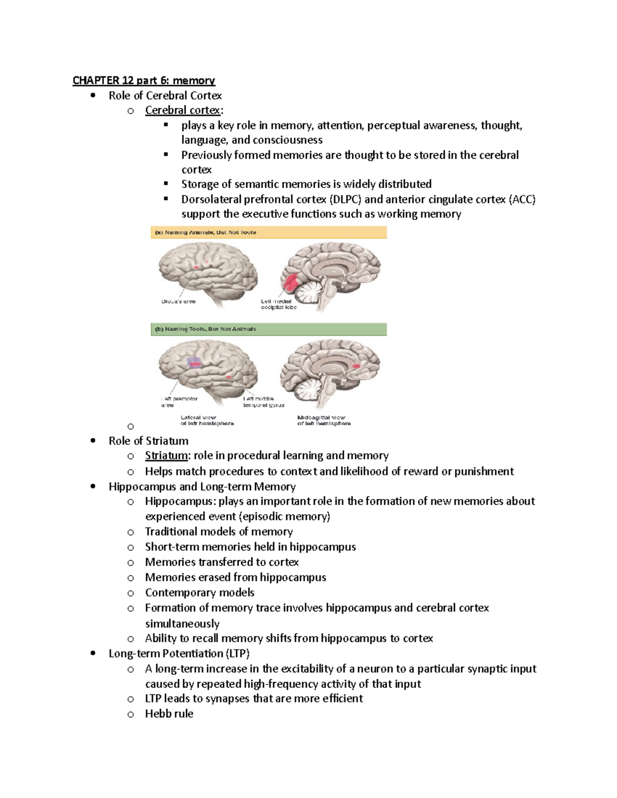 Chapter 12 part 6-memory - CHAPTER 12 part 6: memory Role of Cerebral Cortex o Cerebral cortex ...