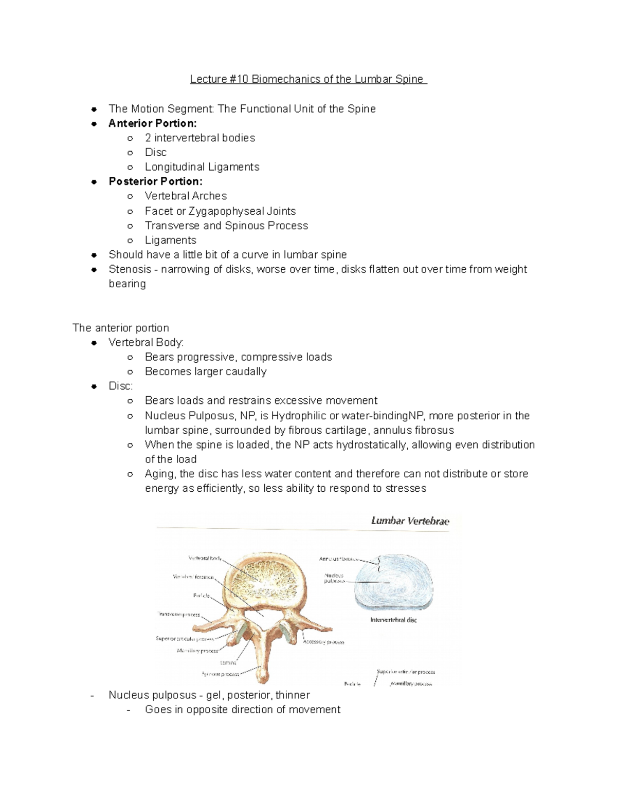 Biomechanics: Lumbar Spine - Lecture #10 Biomechanics of the Lumbar ...