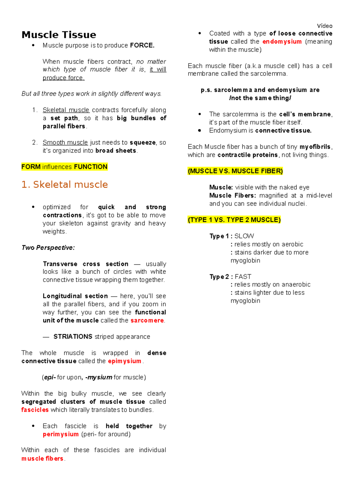 Muscle Tissue Notes - Video Muscle Tissue Muscle purpose is to produce ...