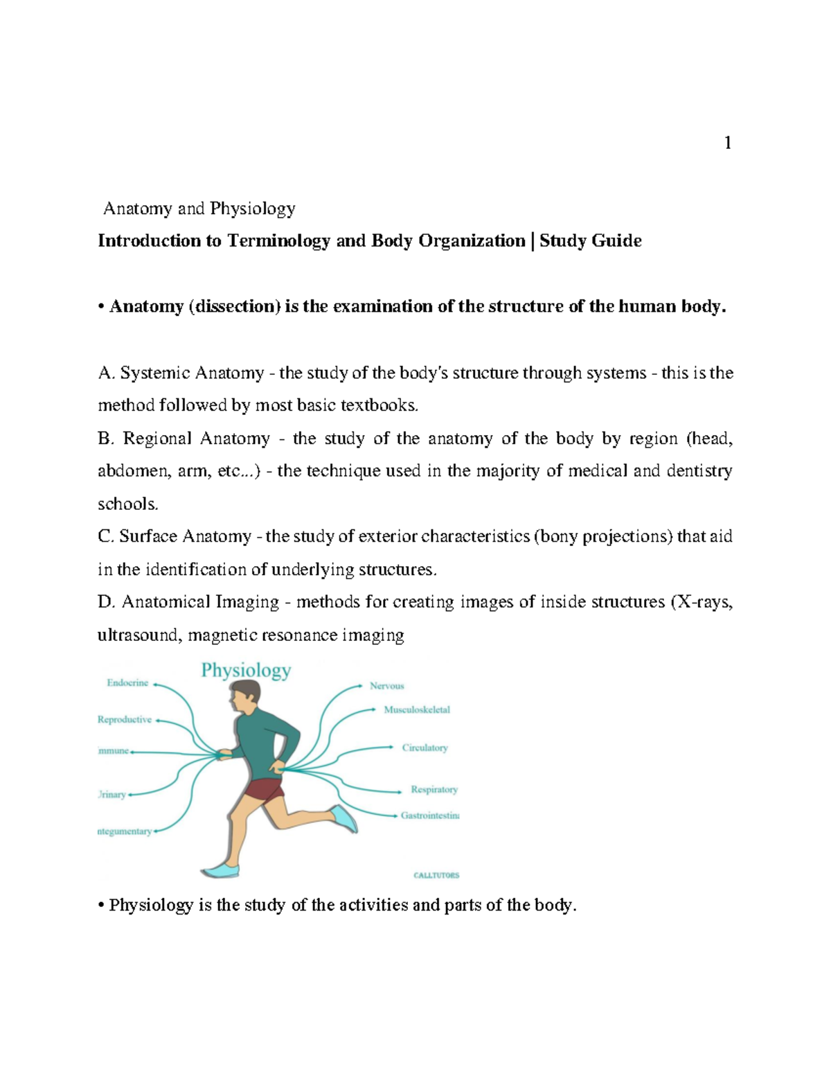 Introduction to Terminology and Body Organization Study Guide - 1 ...