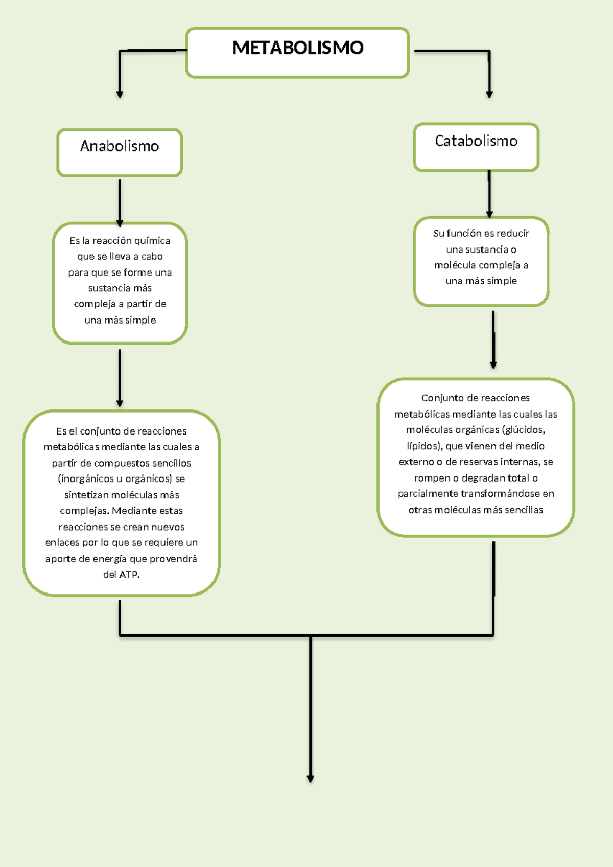 Mapa conceptual del Metabolismo - METABOLISMO Anabolismo Catabolismo Es ...