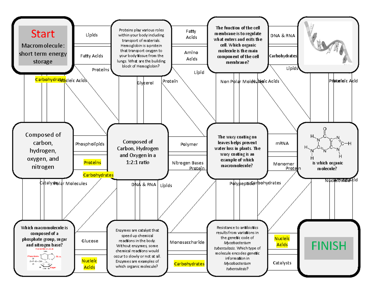 2Macro Maze Review 9 22 23 - Polymers Proteins play various roles ...