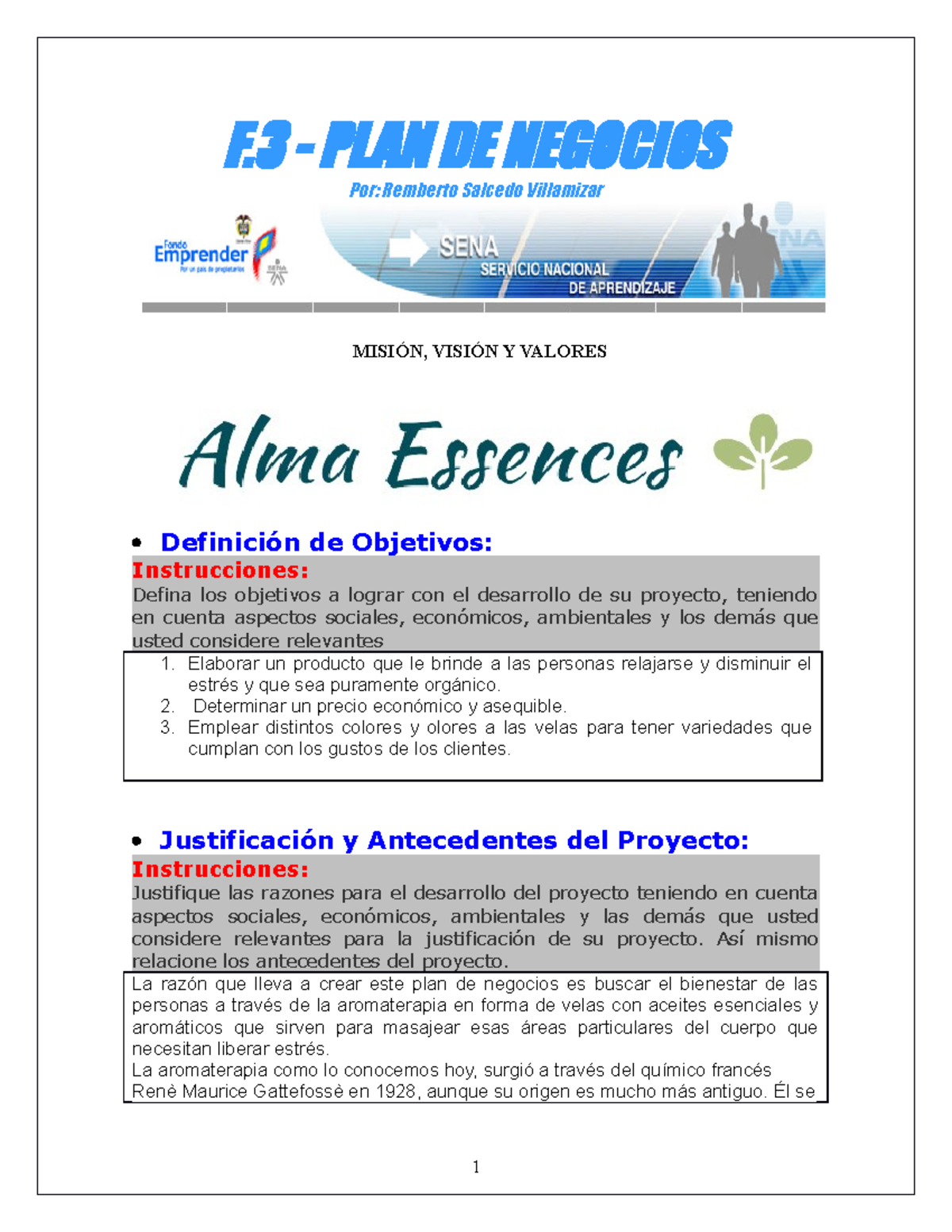 Formato F3 - tareas - F. 3 - PLAN DE NEGOCIOS Por: Remberto Salcedo Villamizar MISIÓN, VISIÓN Y ...
