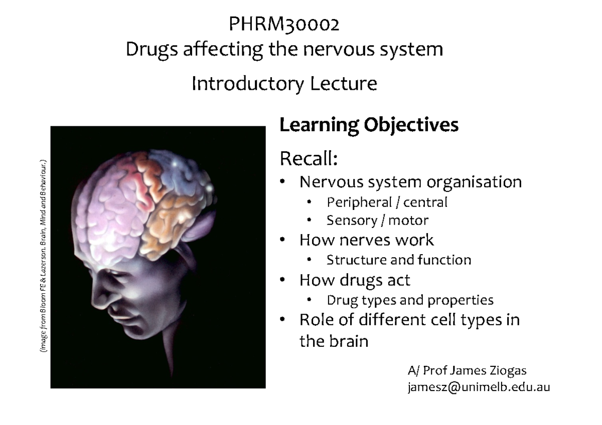 Drugs affecting the nervous system - Studocu