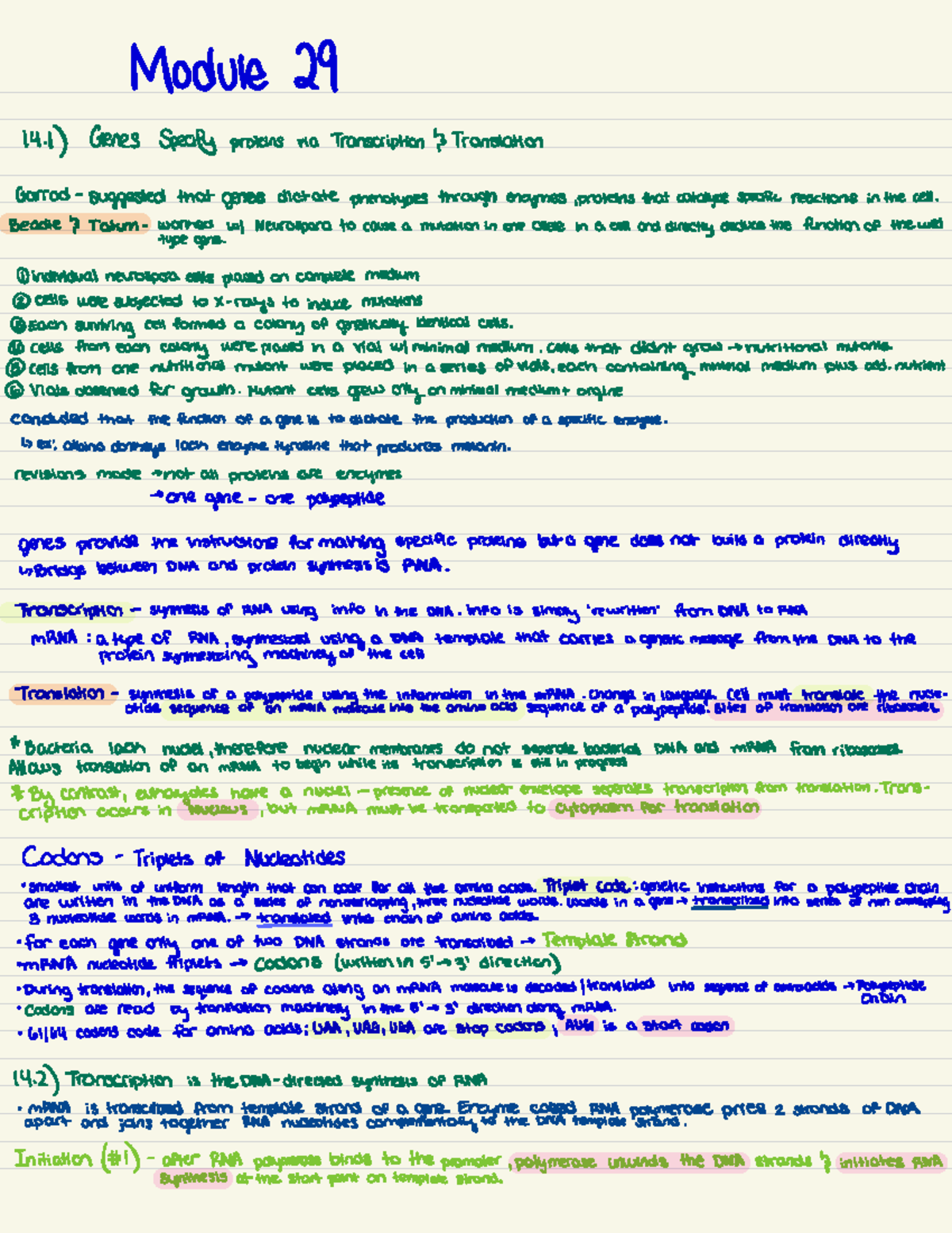 Module 29 Relevant Reading - Module 29 14) Genes specify proteins via ...